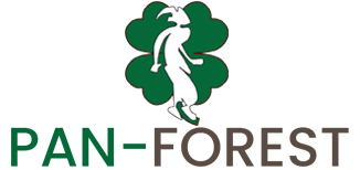 O nama - PAN FOREST